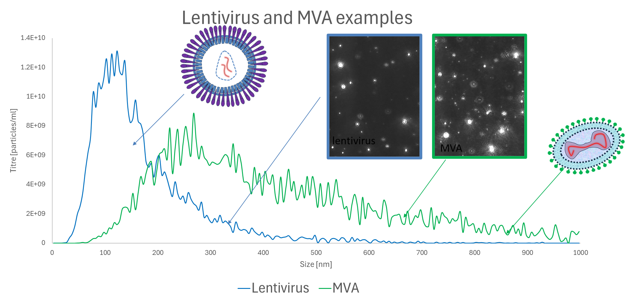 Quick viral vector purity assessment with NanoSight Pro | Malvern Panalytical